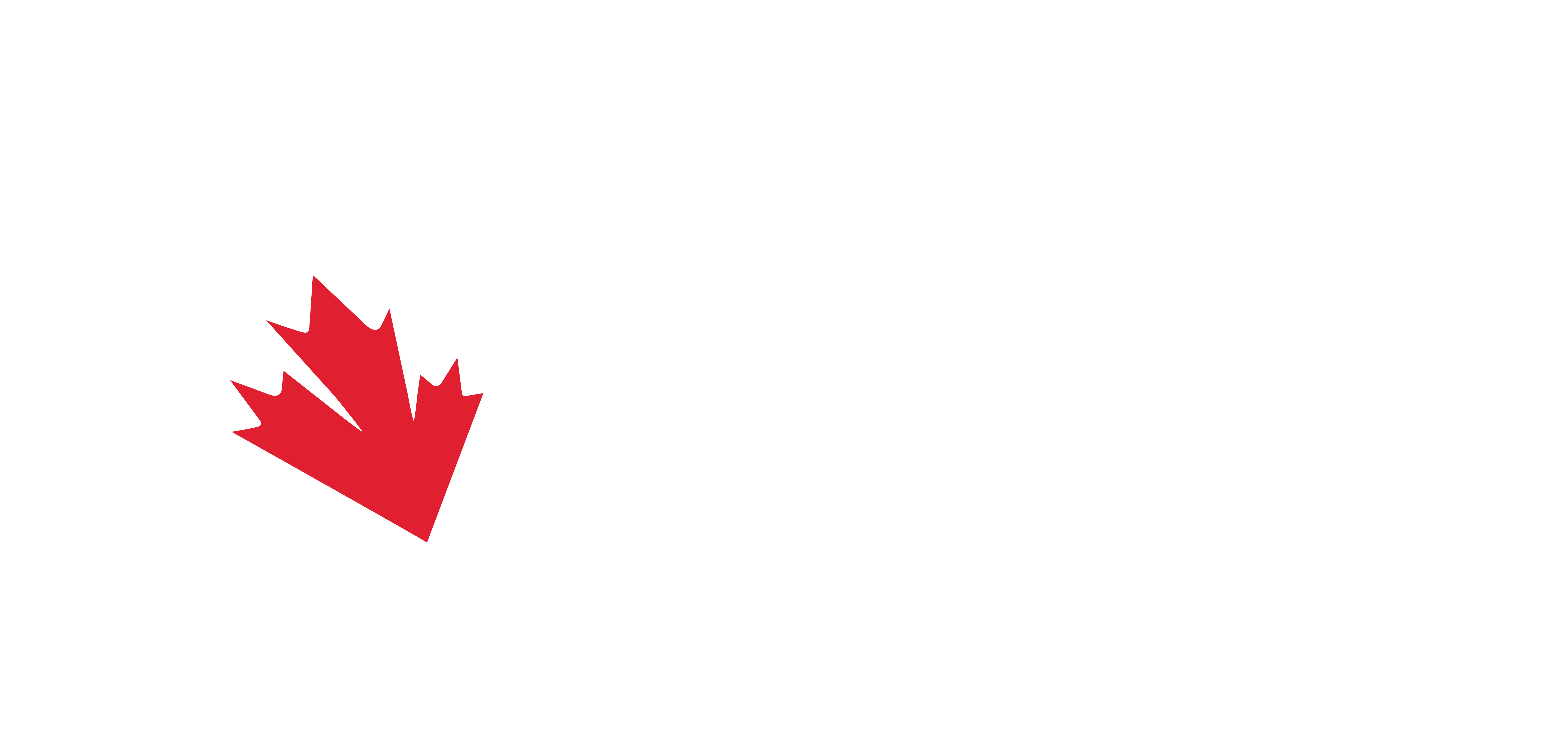 Toronto Diving Institute